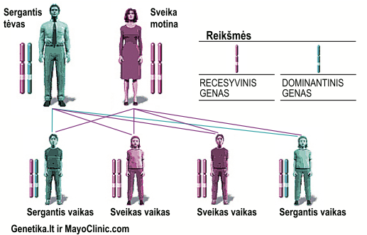 Lynčo sindromas - Naujos kartos genetika